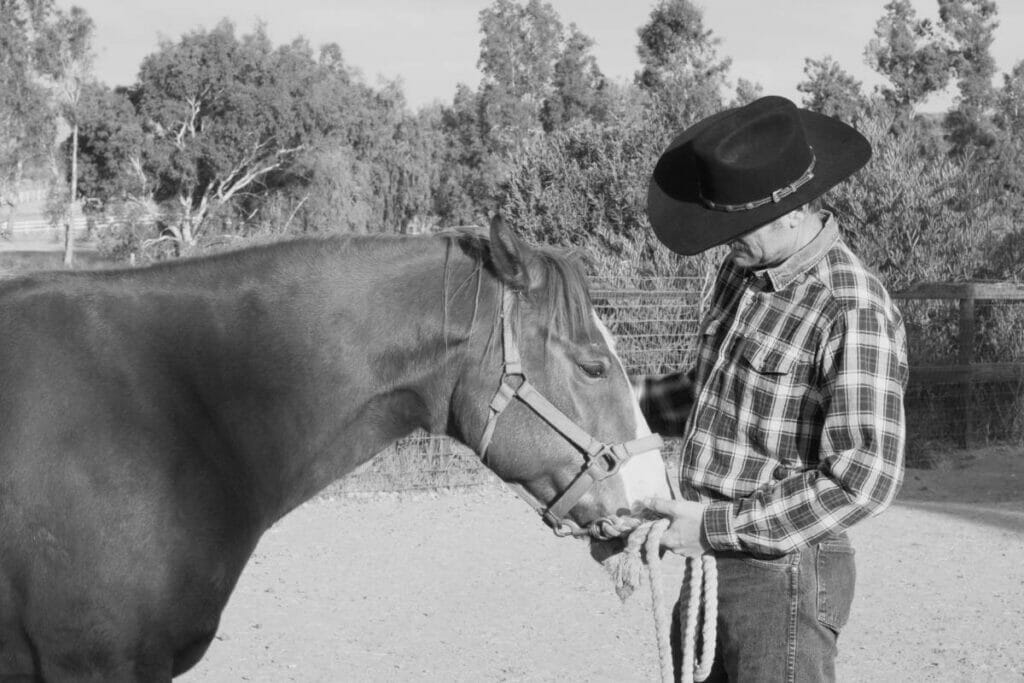 Leadership Lessons from Real Cowboys - Debra Benton